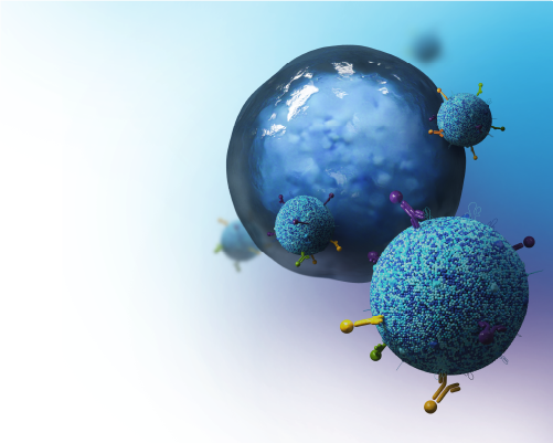 Characterization of Extracellular Vesicles as Messengers and Biomarkers