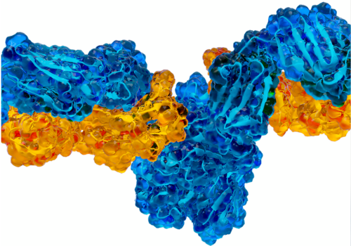 Harnessing icIEF to Unlock Protein-Based Therapeutics - Wiley Science ...