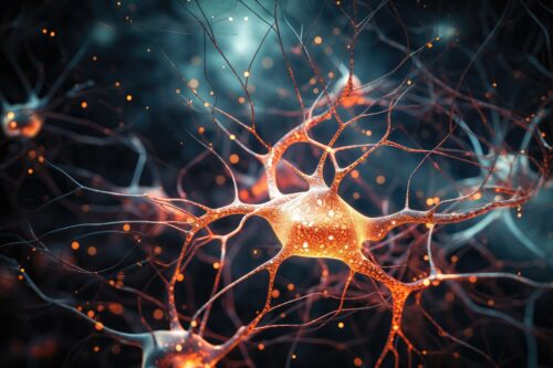 Exploring Neural Cell Isolation Techniques in Neuroscience Research ...