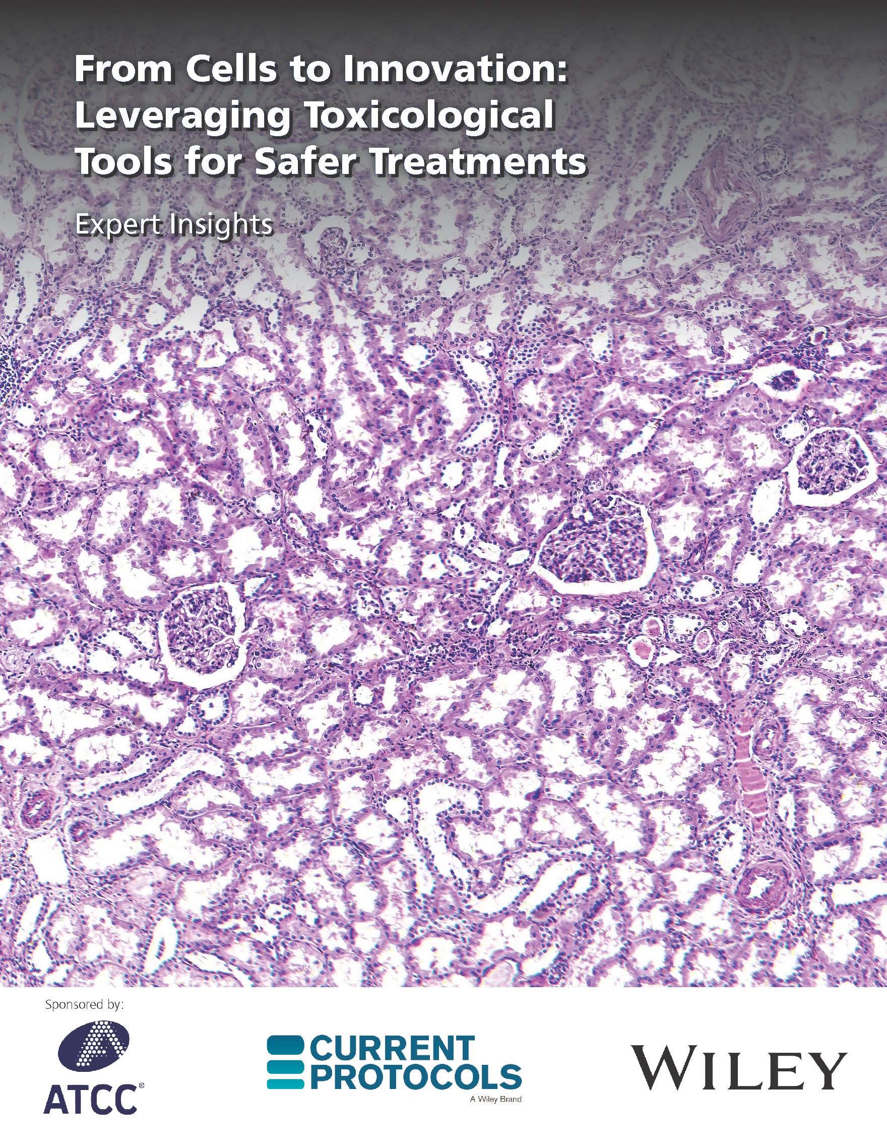 From Cells to Innovation: Leveraging Toxicological Tools for Safer ...